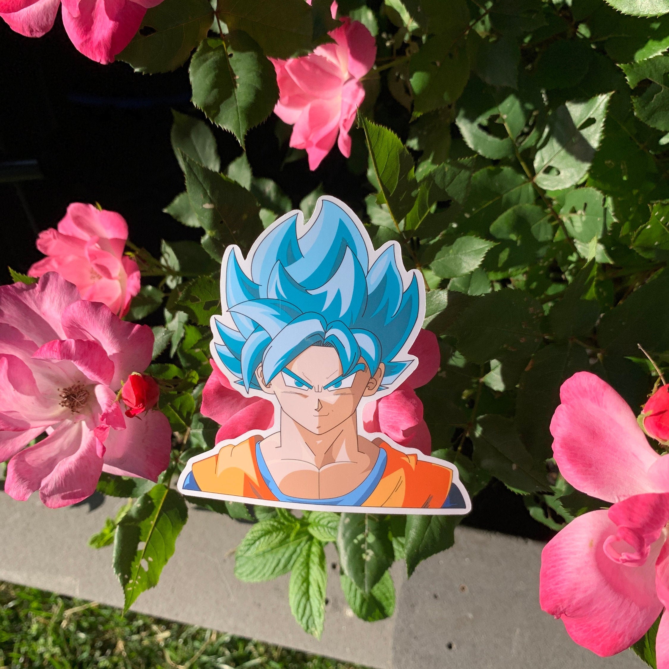 SSB Blue Monkey Fighters Prince of all Monkeys Anime | Etsy