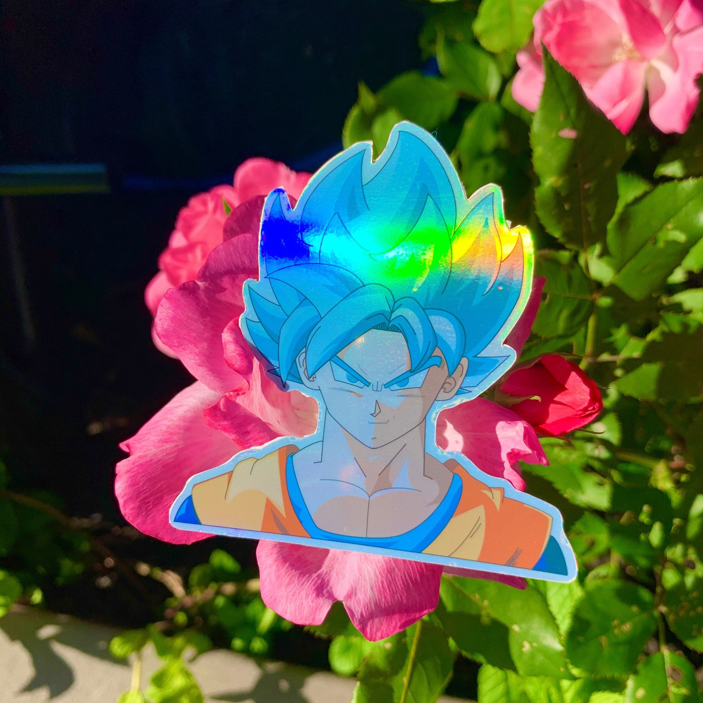 SSB Blue Monkey Fighters Prince of all Monkeys Anime | Etsy