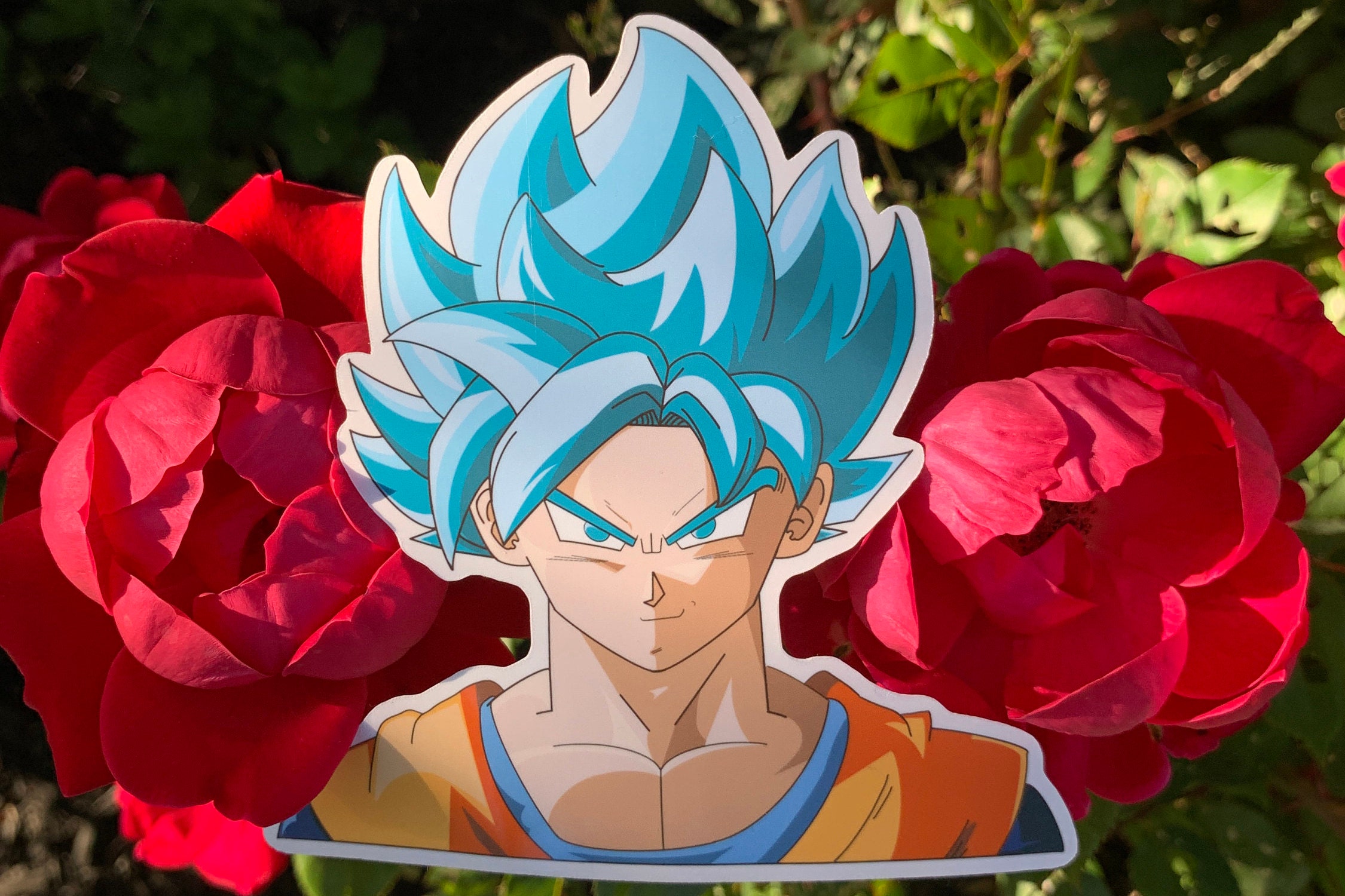 SSB Blue Monkey Fighters Prince of all Monkeys Anime | Etsy