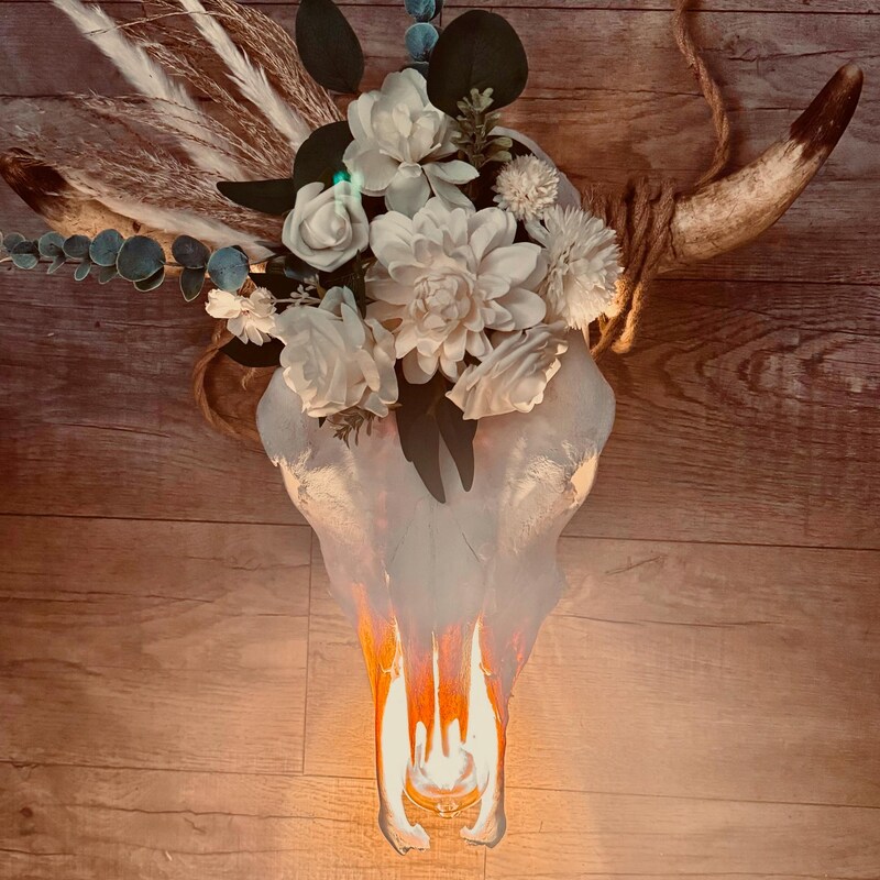 Decorated Cow Skull - Etsy