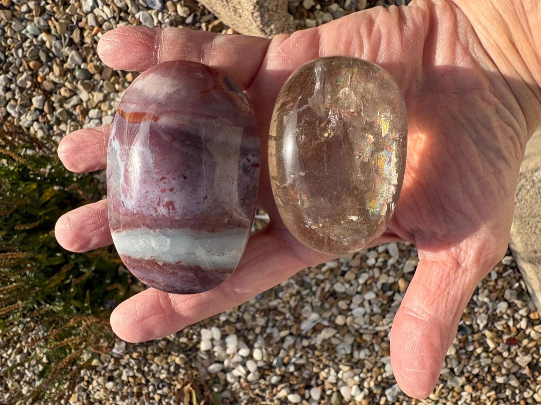 Ocean Jasper Palm & Light Smokey Palm - Etsy