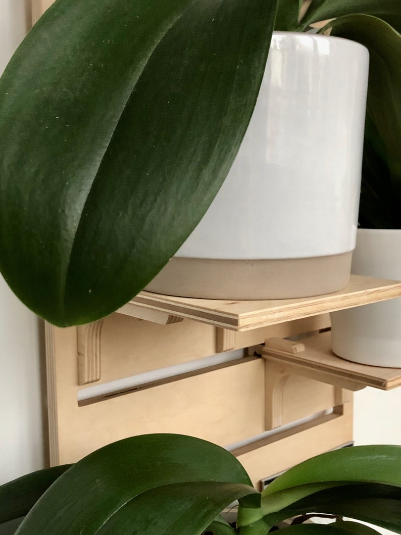 Pegboard for Plants. Innovative Indoor Vertical Garden. Board & Set of ...