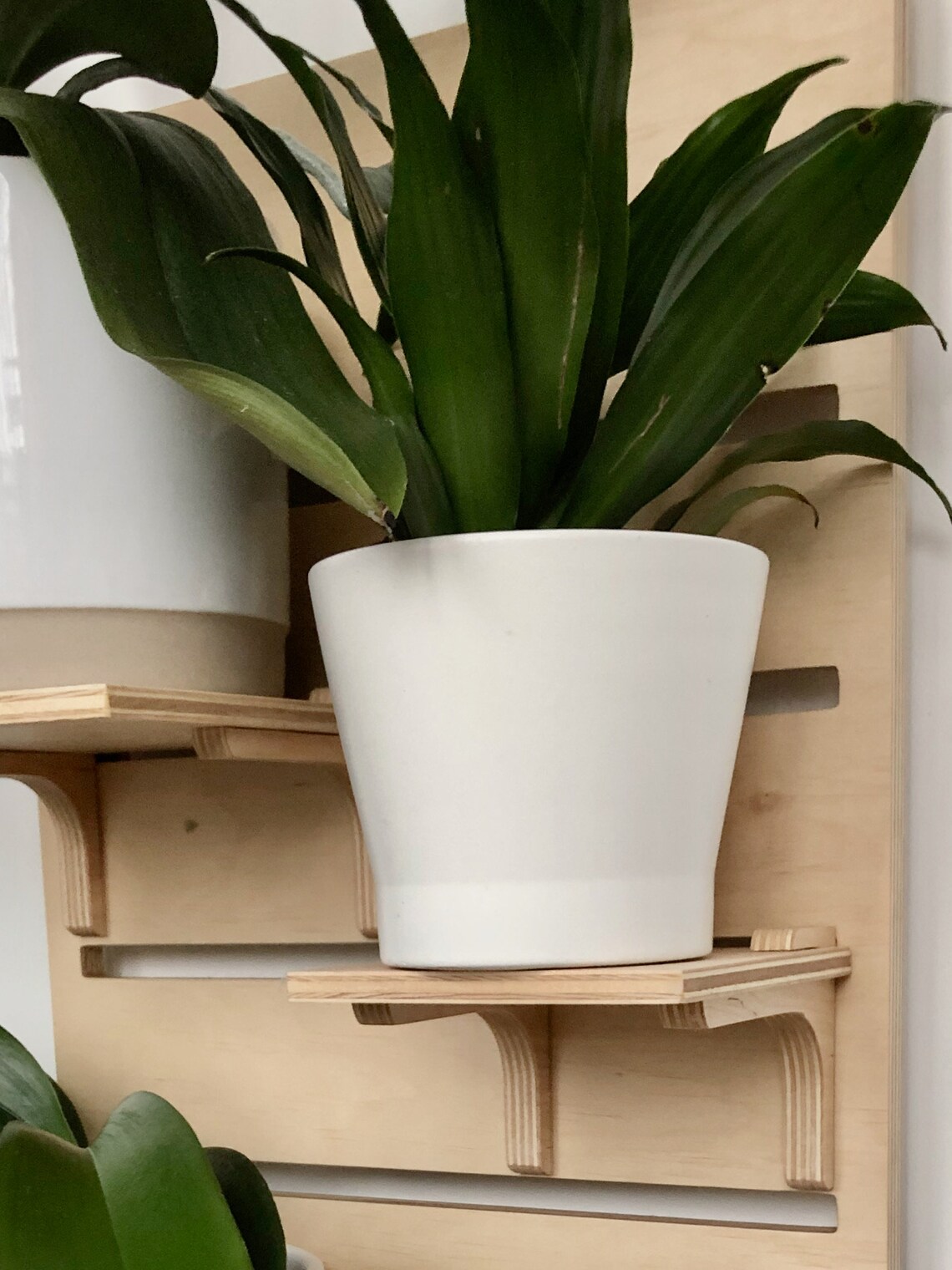 Pegboard for Plants. Innovative Indoor Vertical Garden. Board & Set of ...