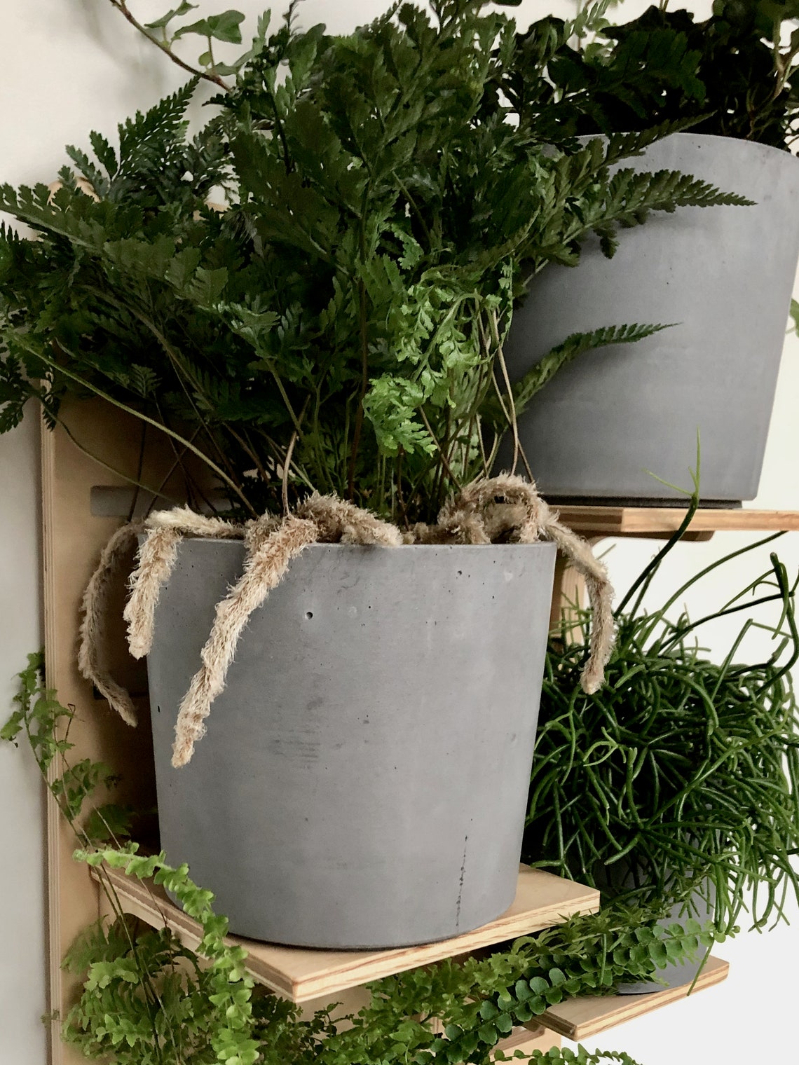 Pegboard for Plants. Innovative Indoor Vertical Garden. Board & Set of ...