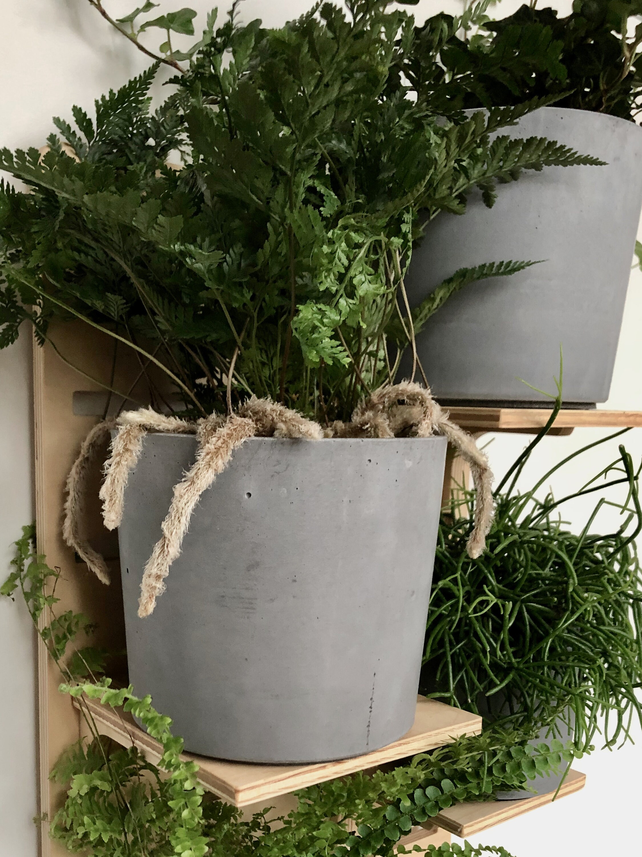 Pegboard for Plants. Innovative Indoor Vertical Garden. Board & Set of ...