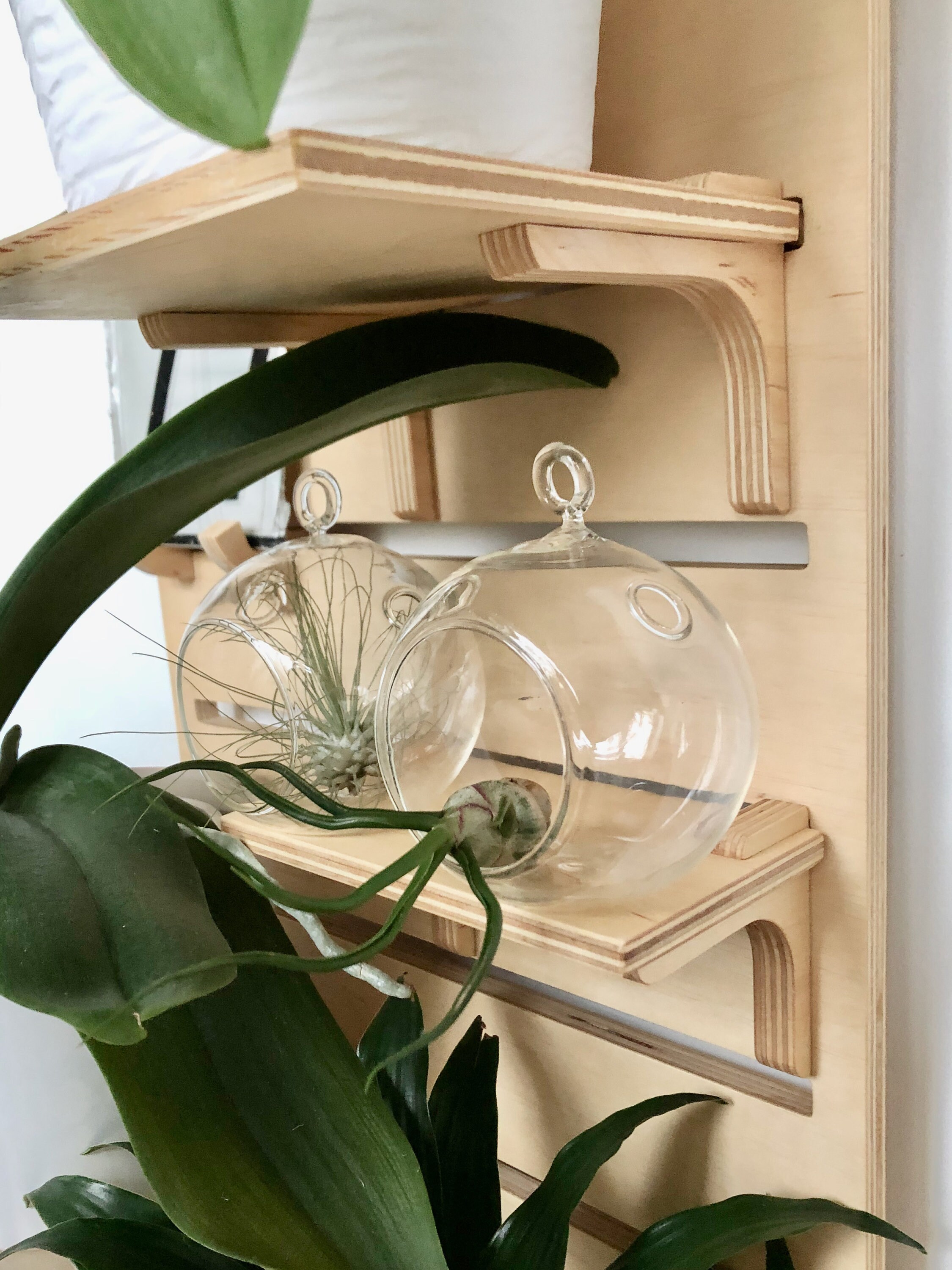 Pegboard for Plants. Innovative Indoor Vertical Garden. Board & Set of ...