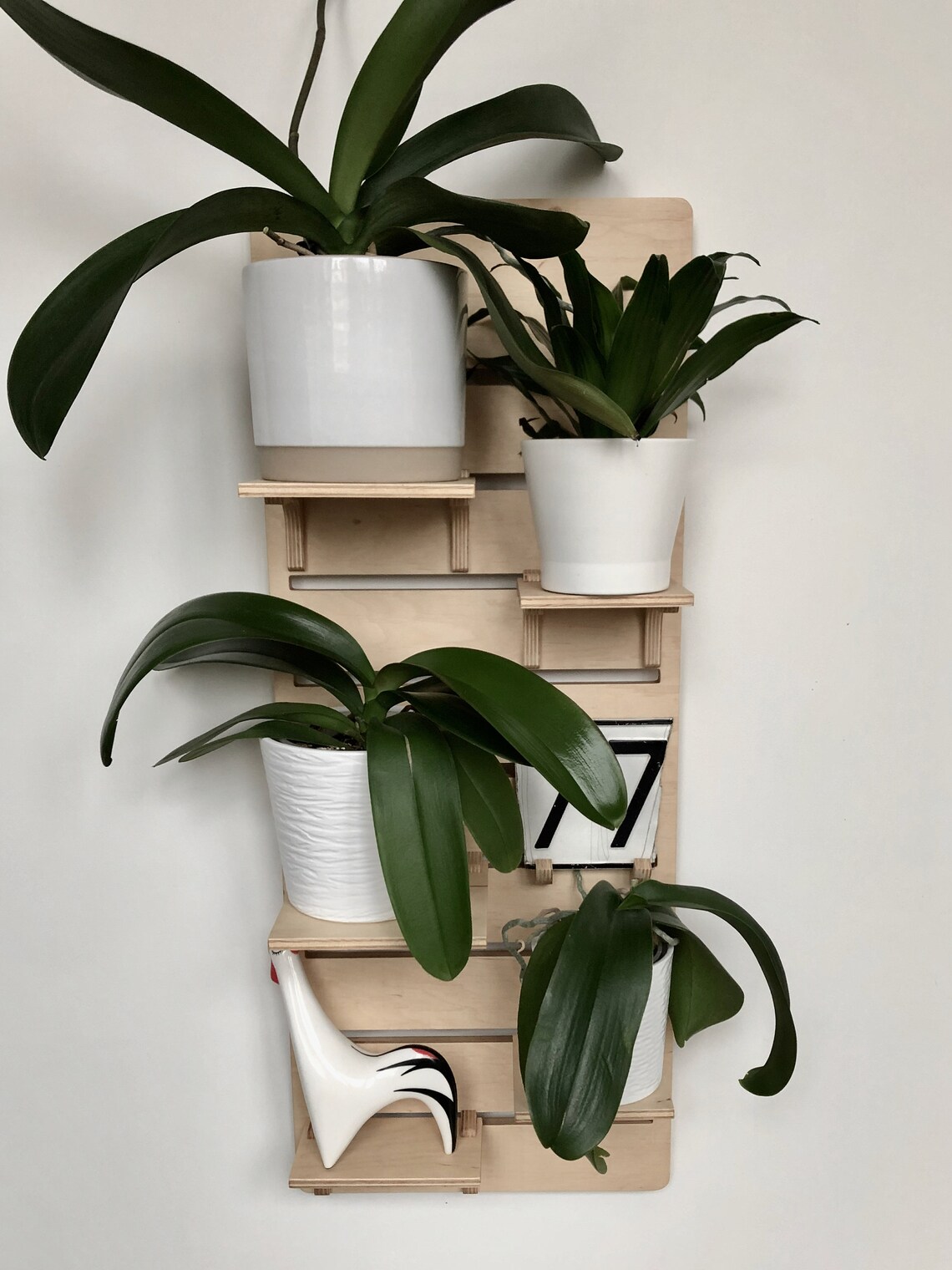 Pegboard for Plants. Innovative Indoor Vertical Garden. Board & Set of ...