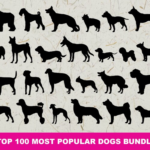 Dogs Svg Bundle Dog Breed SVG Bundle Dogs Svg Silhouette - Etsy