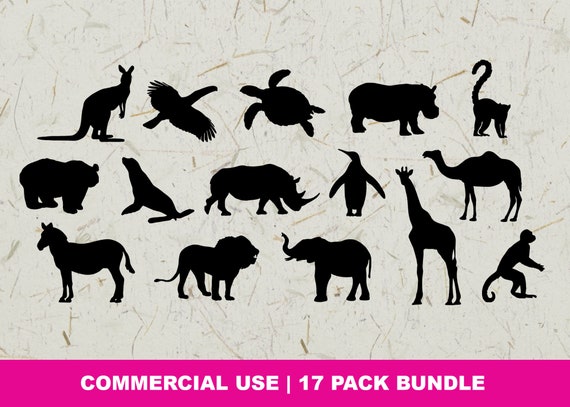 Zoo Animals SVG Bundle Zoo Animals Clip Art Pack Cut Files - Etsy