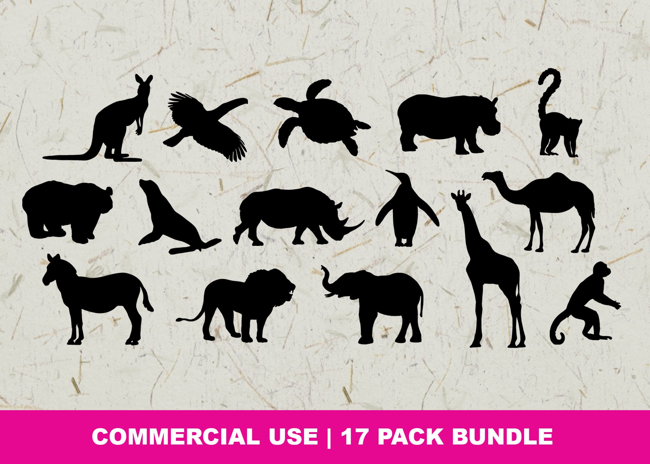 Zoo Animals SVG Bundle Zoo Animals Clip Art Pack Cut Files - Etsy UK