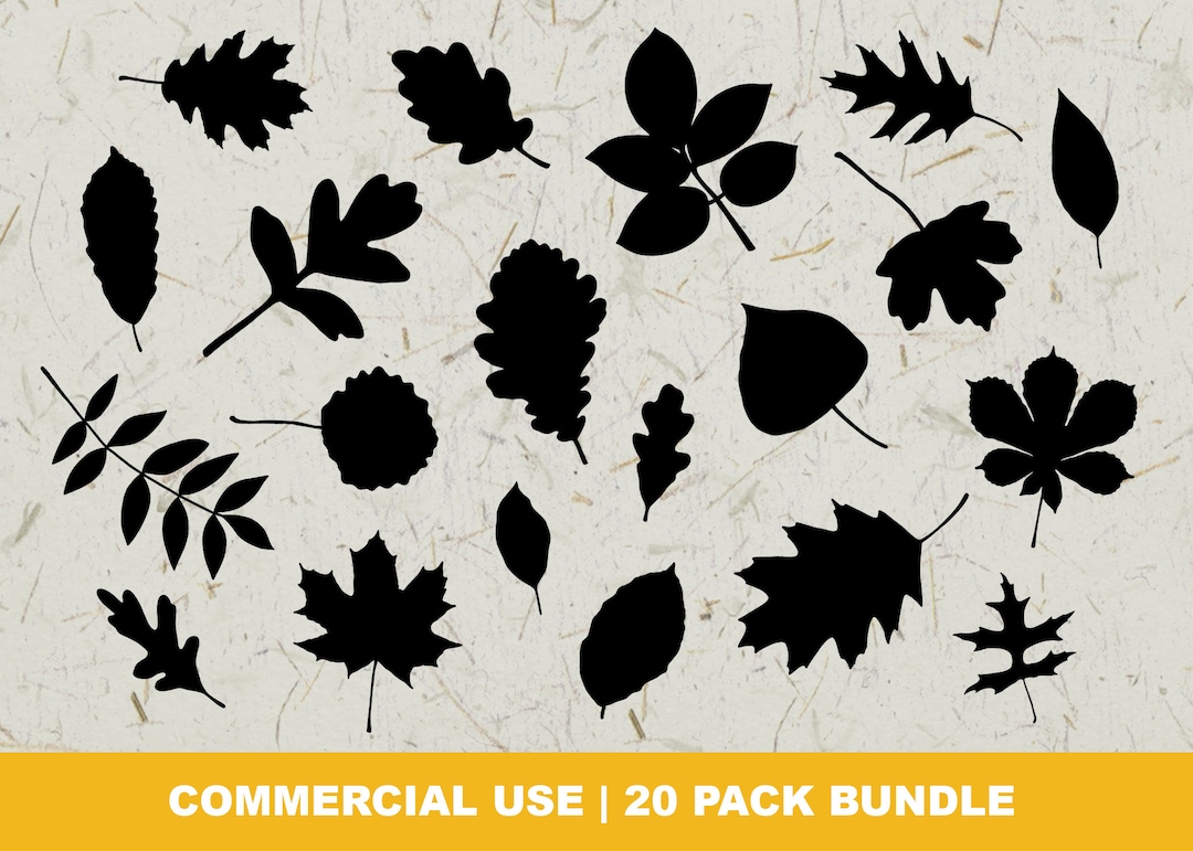 Fall Leaves SVG Bundle, Autumn Leaf Svg, Canadian Leaf Template, Leaf ...