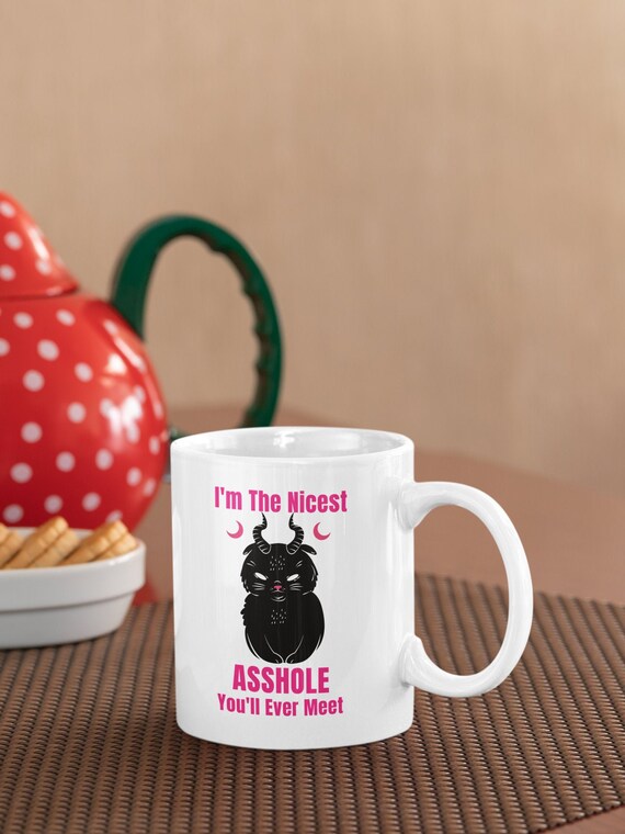 Im The Nicest Asshole Youll Ever Meet Gag T Funny Mugs Etsy