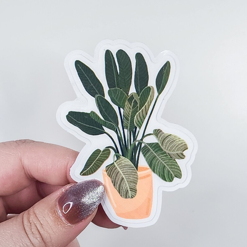 5 Pack 3" Plant Glossy Vinyl Waterproof Stickers, 3" Boho House Plant ...
