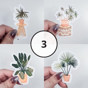 5 Pack 3" Plant Glossy Vinyl Waterproof Stickers, 3" Boho House Plant ...