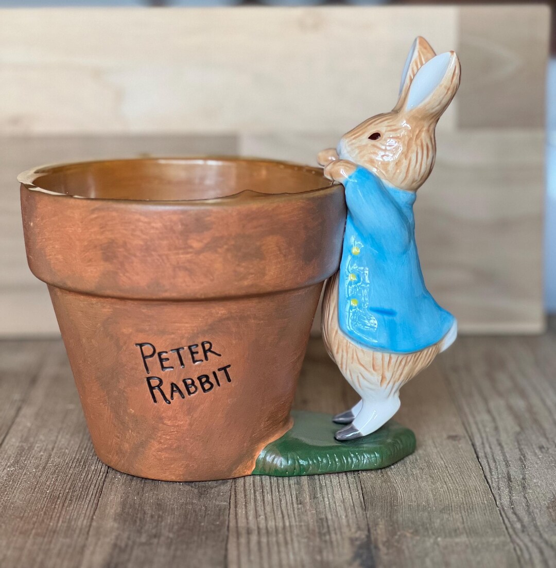 Beatrix Potter’s Peter Rabbit Planter - Etsy