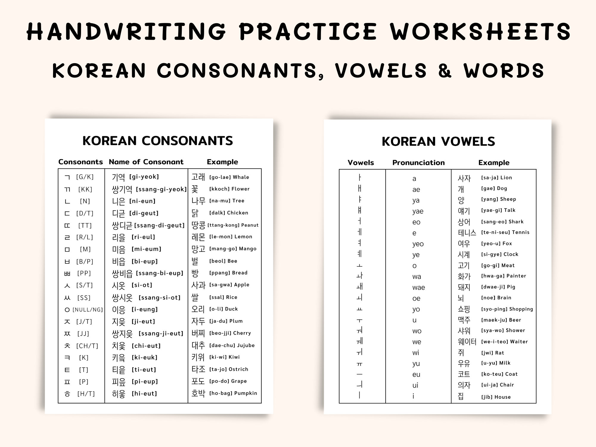 Korean Flashcards Consonants Vowels & Numbers Printable | Etsy