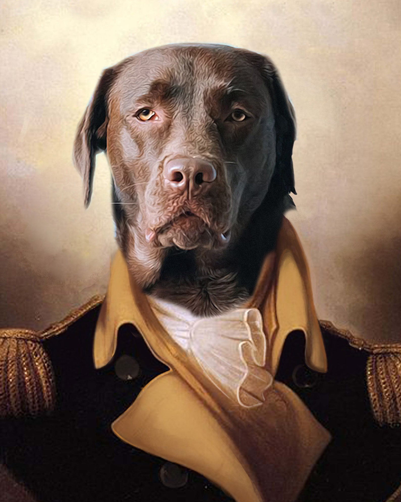 Pet Portrait Background,photoshop Digital Backgrounds, Template, Pet ...