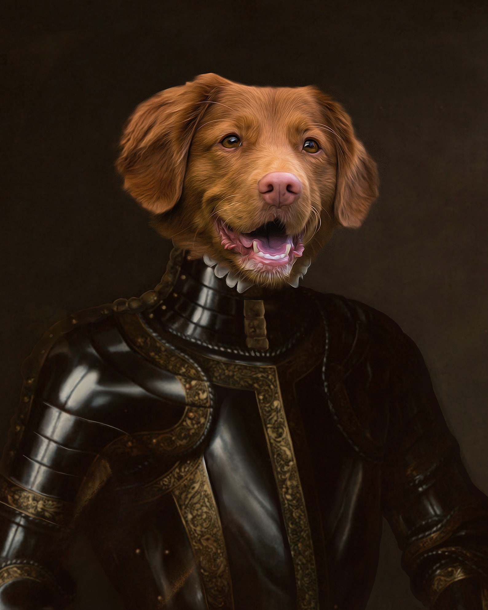 Pet Portrait Background,photoshop Digital Backgrounds, Template, Pet ...