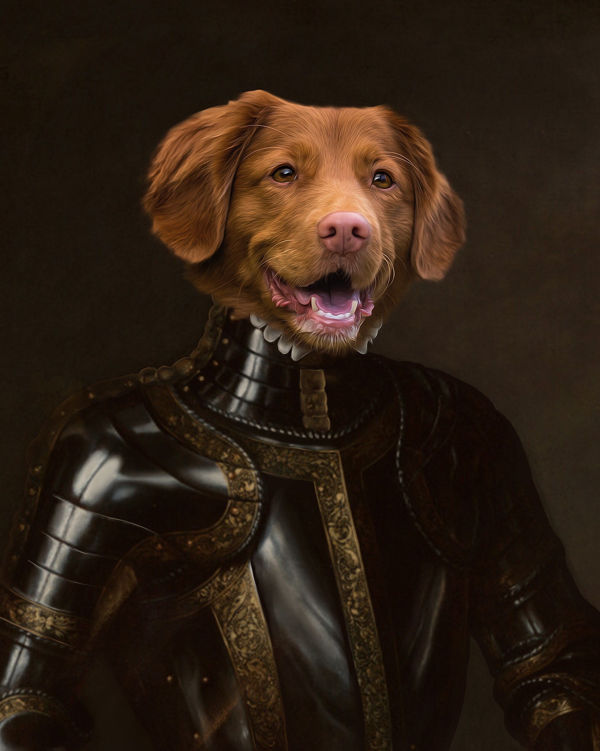 Pet Portrait Background,photoshop Digital Backgrounds, Template, Pet ...