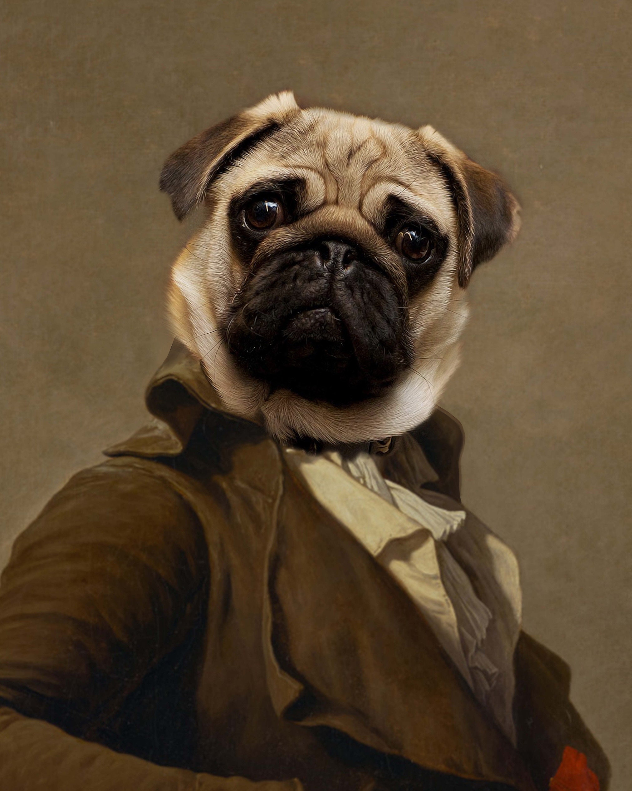 Pet Portrait Background,photoshop Digital Backgrounds, Template, Pet ...