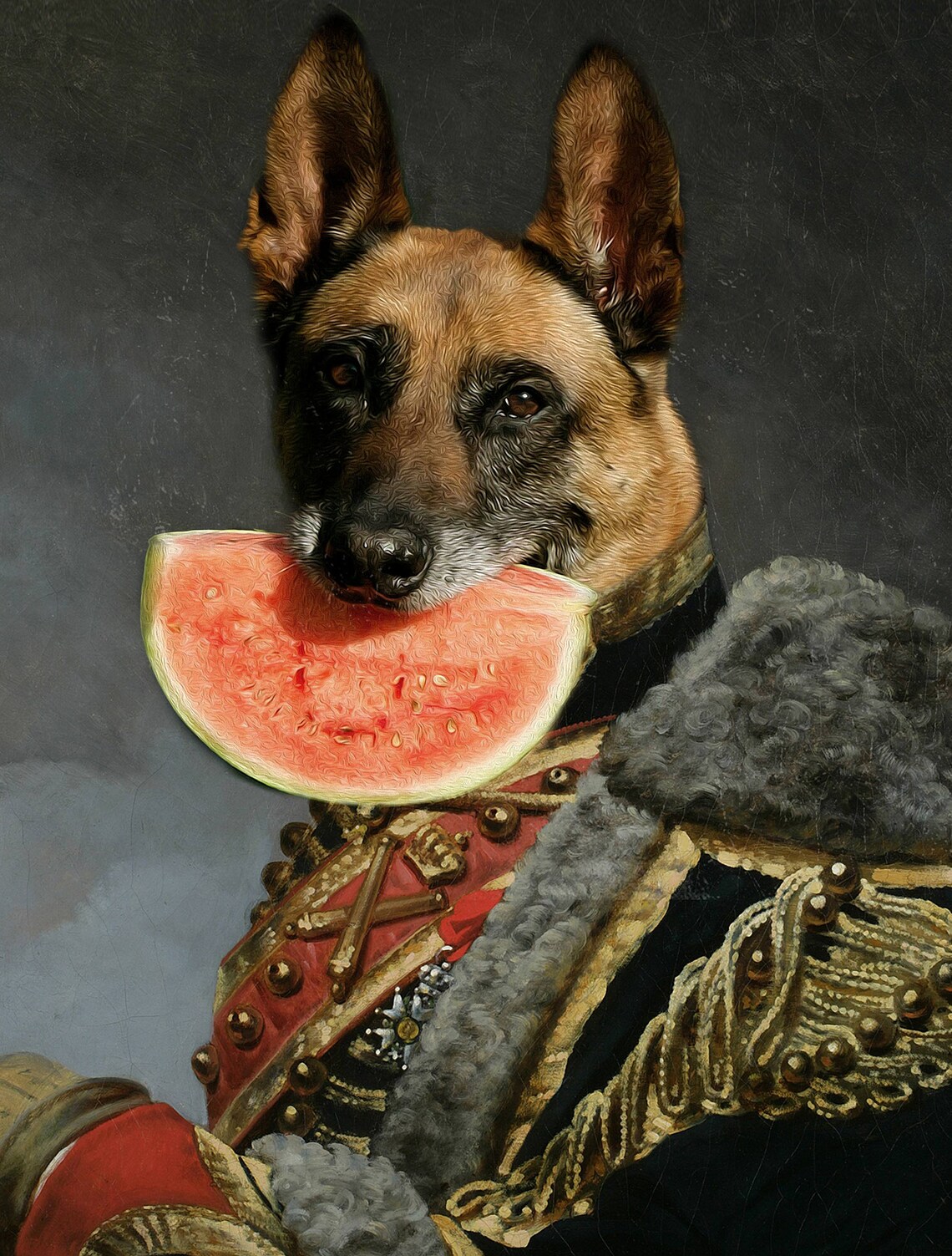 Pet Portrait Background,photoshop Digital Backgrounds, Template, Pet ...