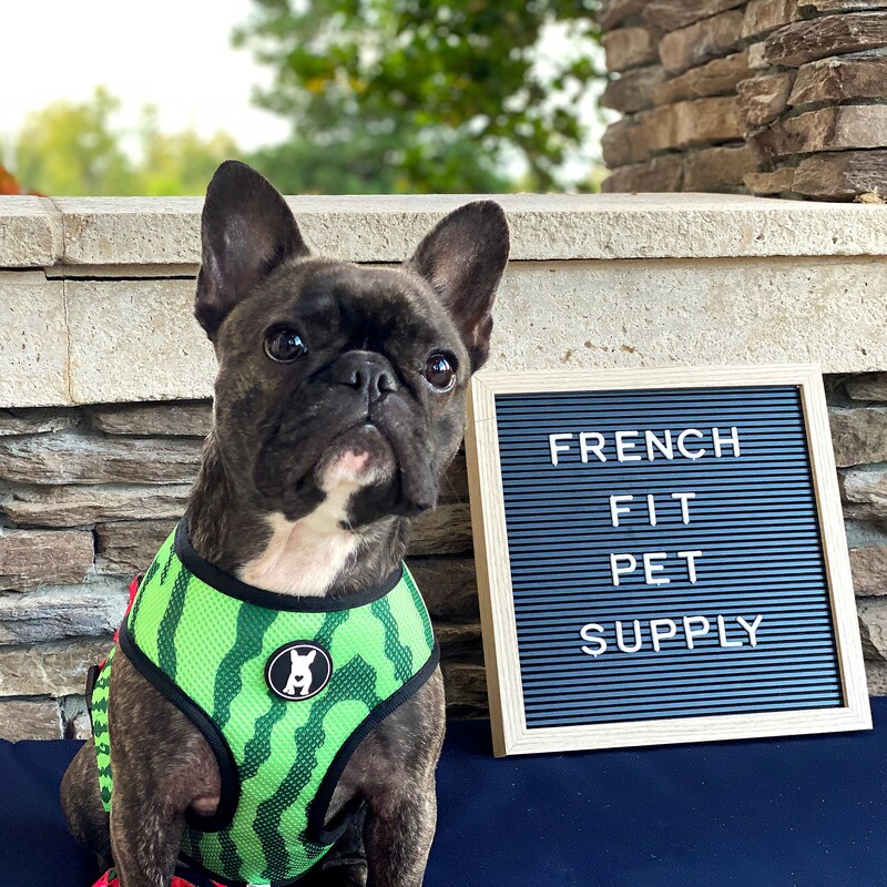 FrenchFitPetSupply - Etsy
