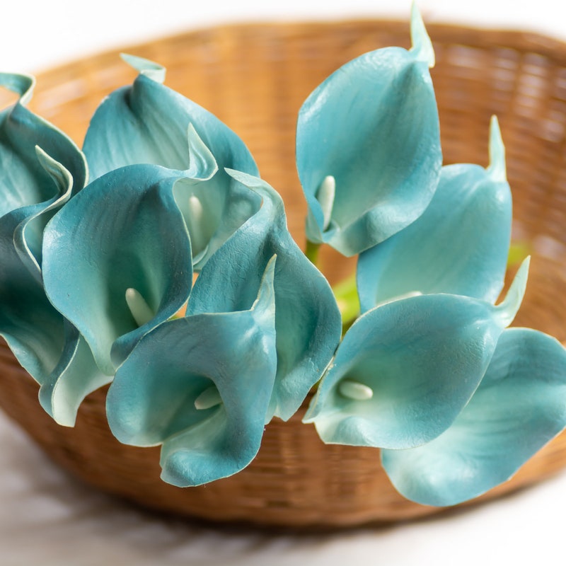 Picasso Calla Lily - Etsy