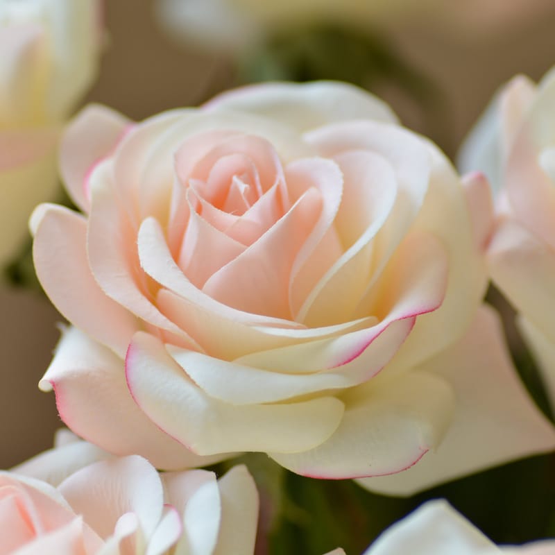 Real Touch Flower Arrangement - Etsy