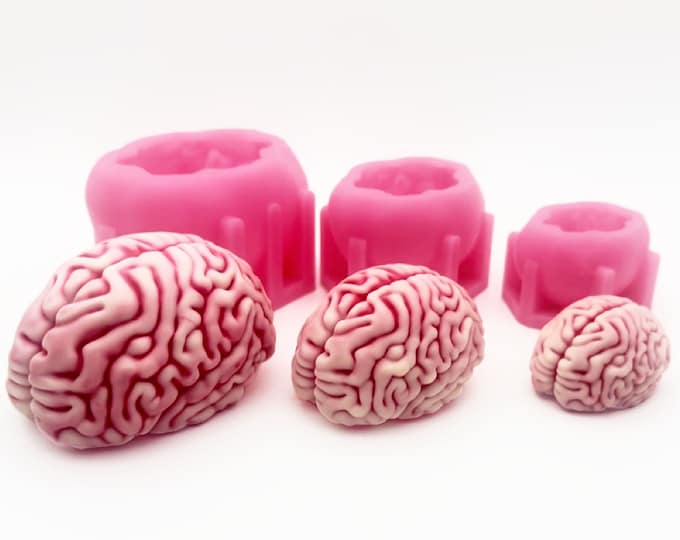 Silicone Brain Mold-creative Brain Resin Molds-brain Candle Mold-brain ...
