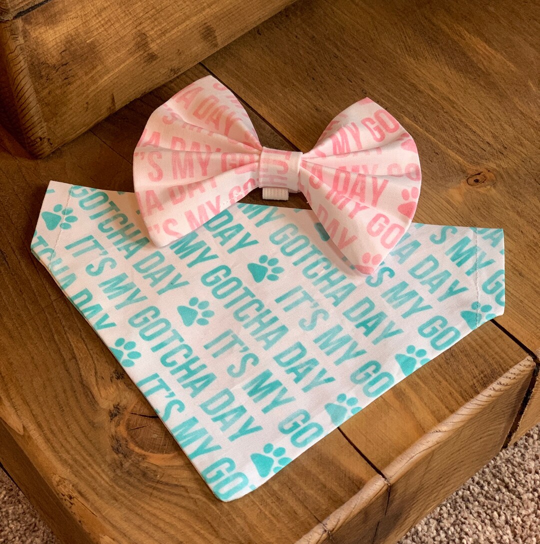 Gotcha Day Pup and Pawent Accessories - Etsy UK