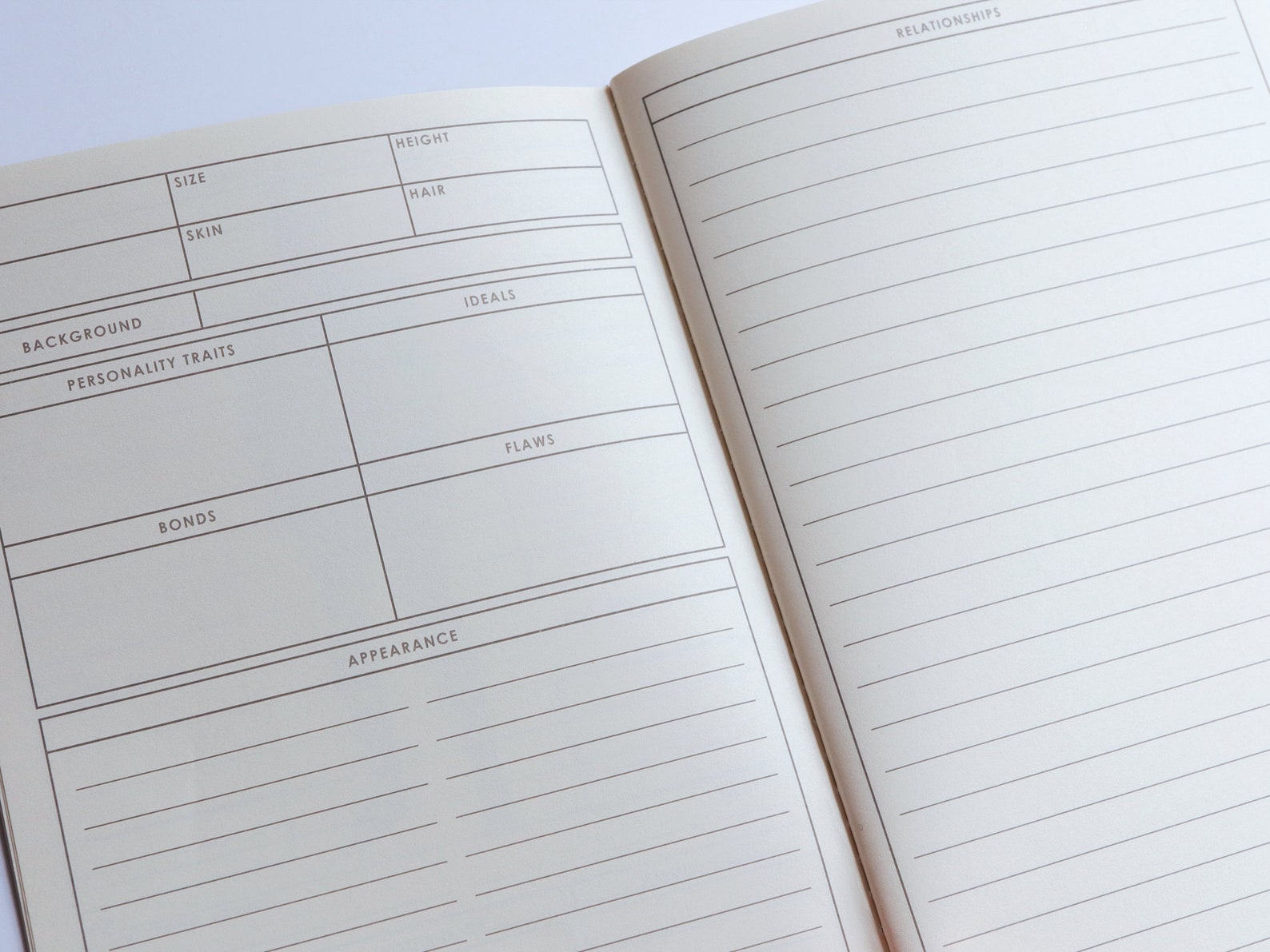 The Campaign Journal for Dungeons and Dragons 5e A5 Softcover Notebook ...