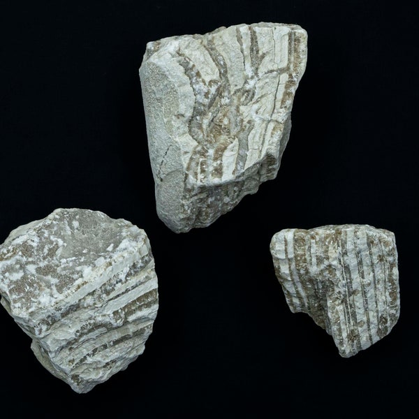 Striped Stone - Etsy