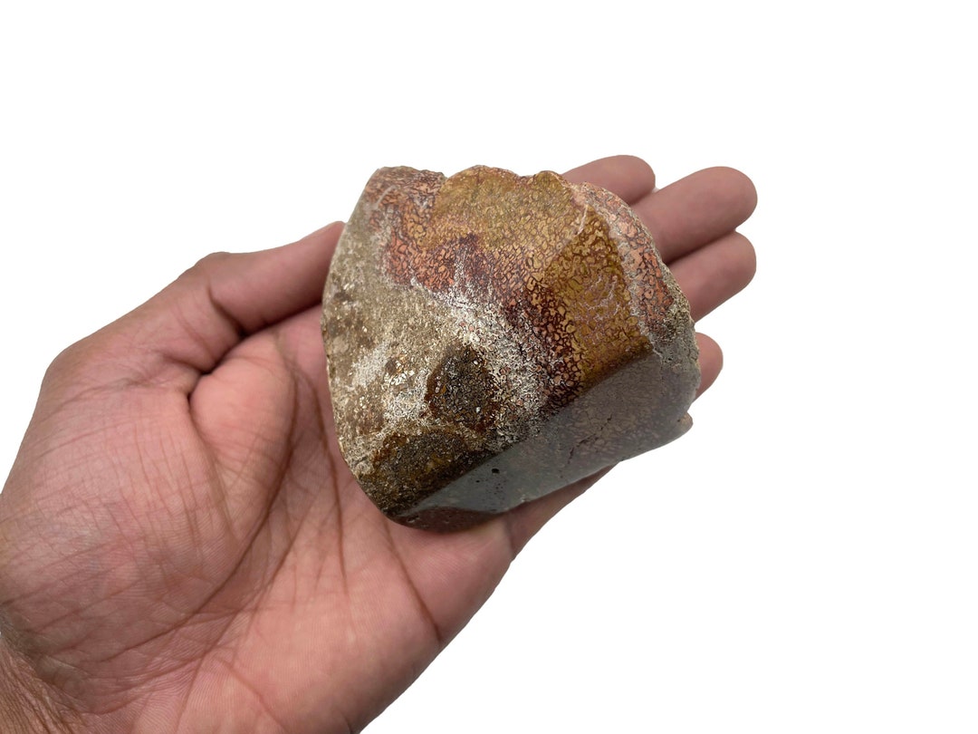 Natural Dinosaur Bone Crystal Rough Stone With One Surface Polished ...
