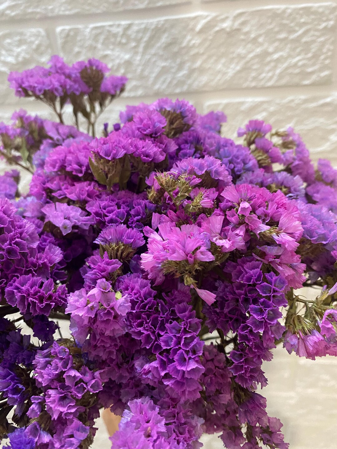 10 Sprigs of Stabilized Statice for Decoration, Small Dried Flowers ...