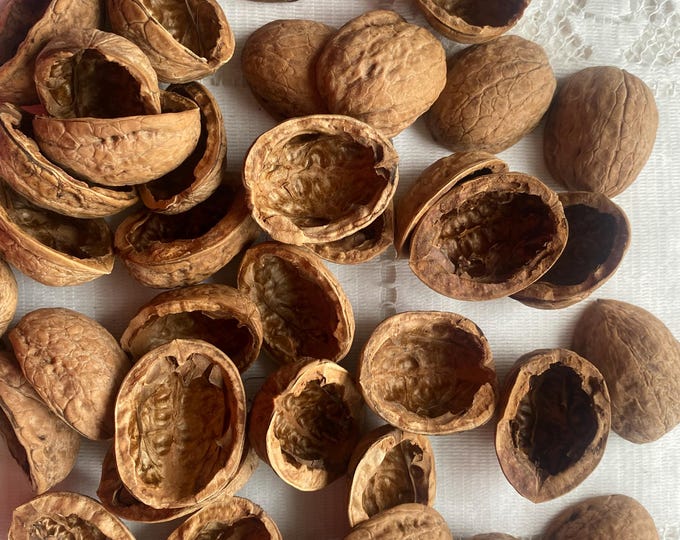 50/25 Pieces, Walnut Shell Halves, Walnut Shells for Crafts,walnut ...