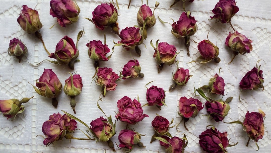 50 Pcs Dried Rose Flowers,dried Plants for Crafts,red Dried Roses - Etsy