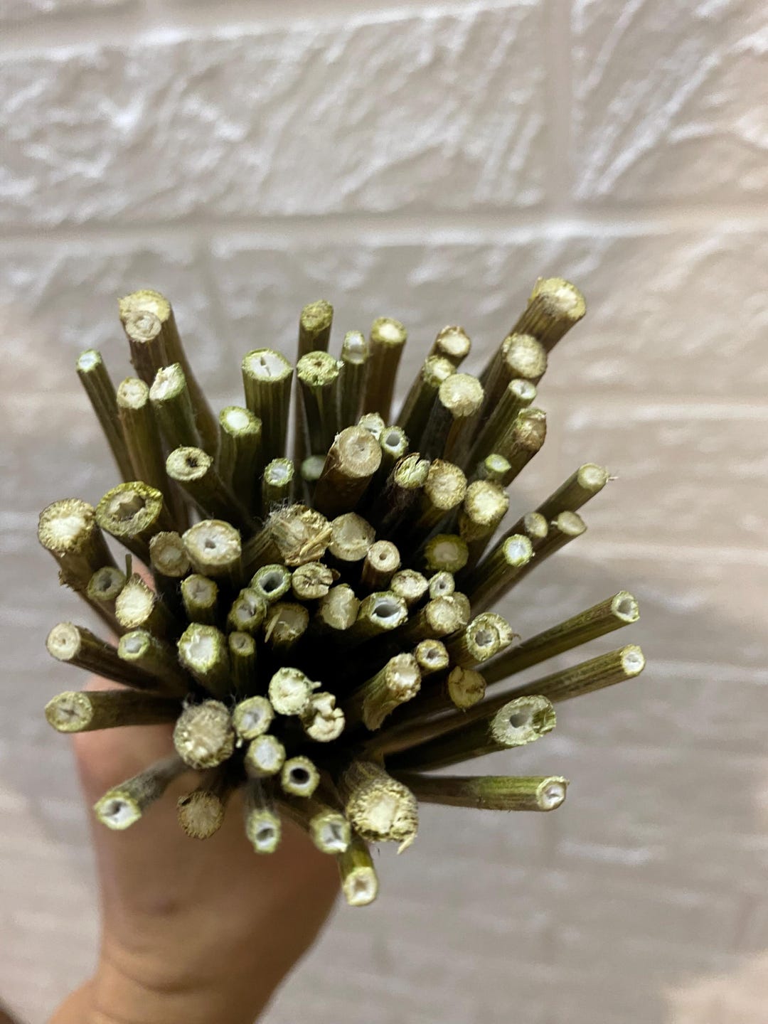 70 Pcs. Dried Yarrow Stalks, Divination Sticks, Aromatherapy, Yarrow ...