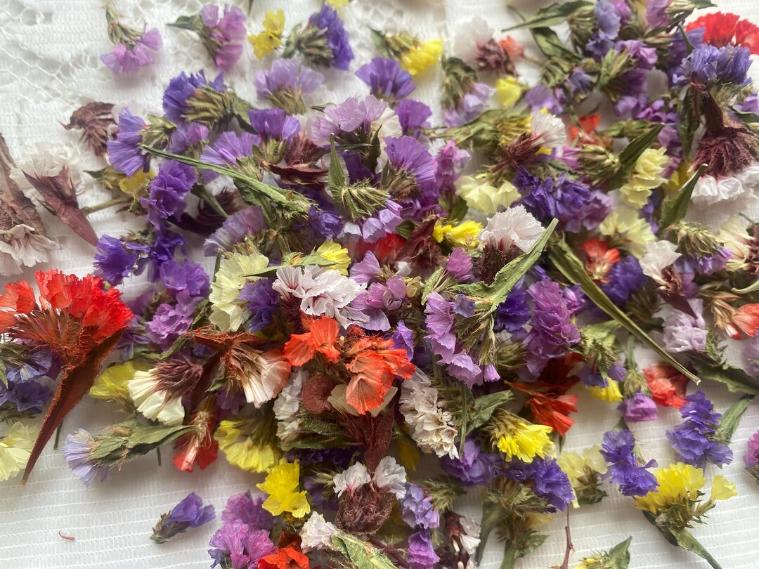 200 Pcs, Dried Flowers for Resin, Dried Flowers for Projects, Herbarium ...