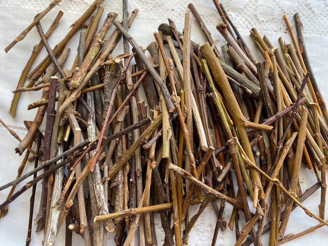 200 Grams of Chewable Twigs, Twigs for Rodents, Organic Feed - Etsy