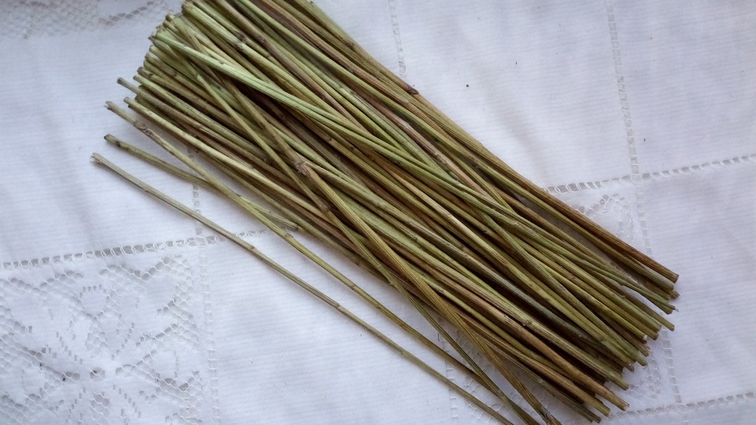 100 Pcs. Dried Yarrow Stalks, Divination Sticks, Aromatherapy, Yarrow ...