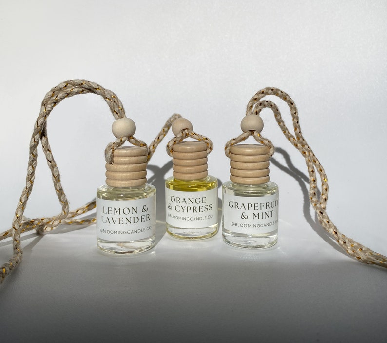 Car Diffuser | Car Fragrance | Hanging Car Diffuser | Car Freshener ...