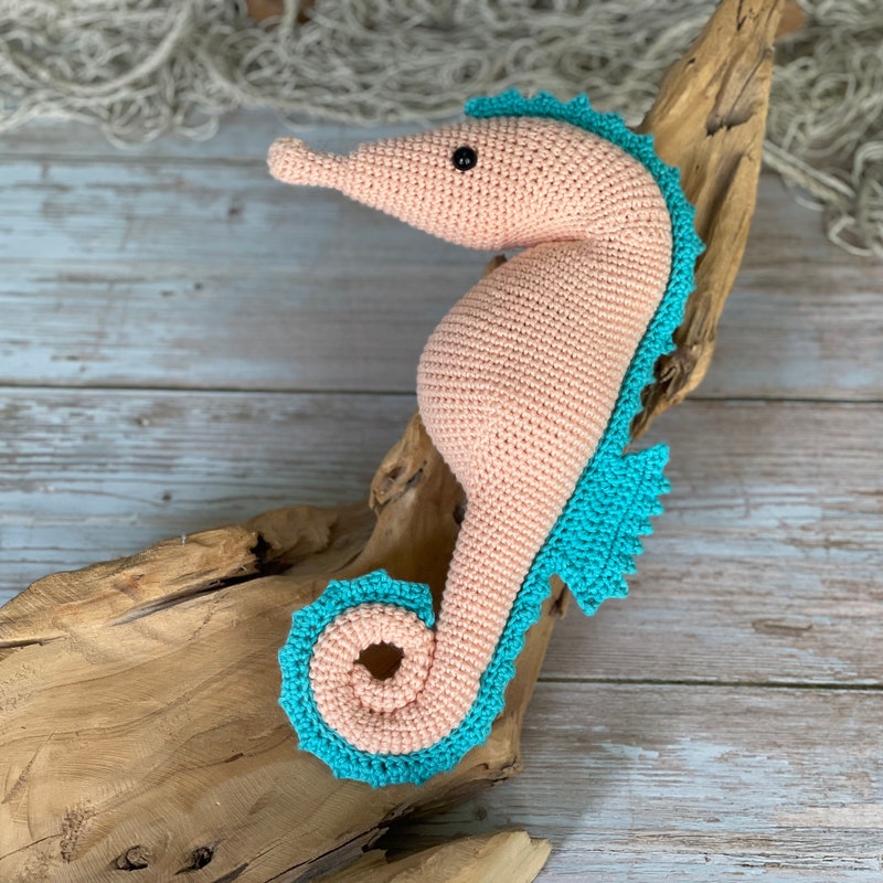 Seahorse Patterns - Etsy