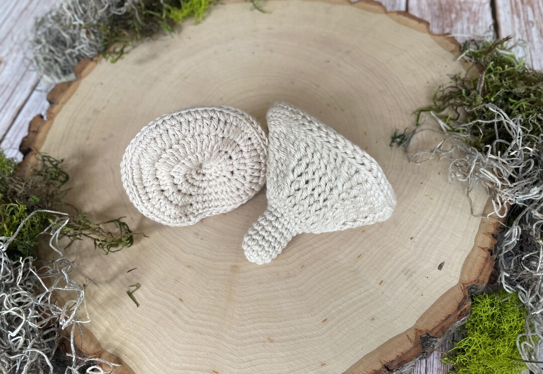 CROCHET PATTERN Oyster Mushroom | Hiratake, Pearl Oyster | Video ...