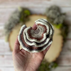 CROCHET PATTERN Turkey Tail Mushroom | 3 Sizes | Cloud Fungi, Bolet ...