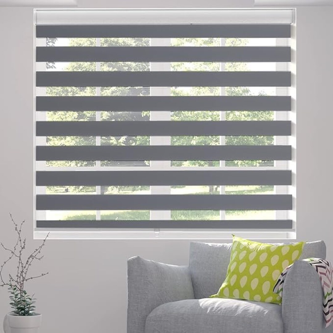Argimu Zebra Window Blinds With Modern Design Roller Shades W/dual ...