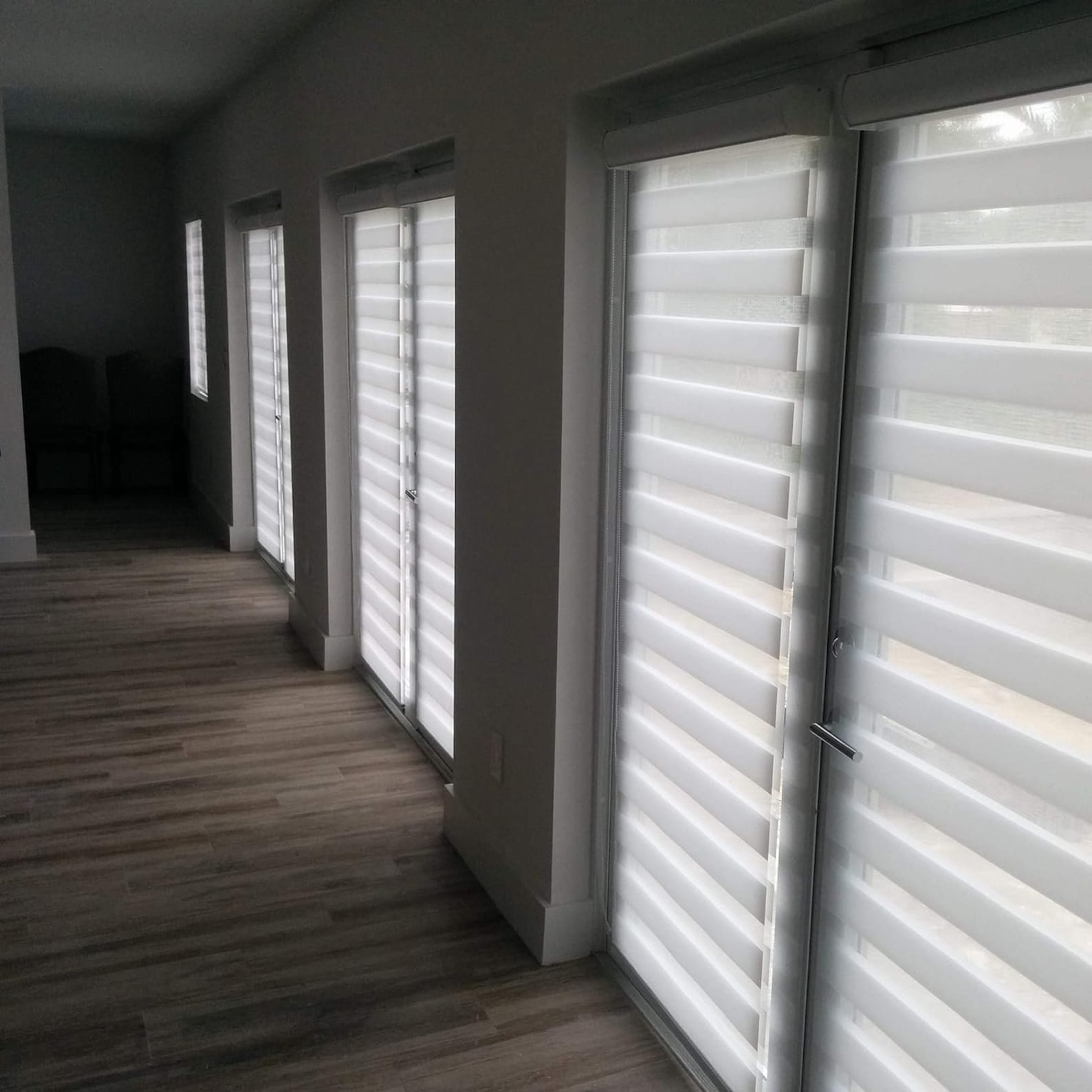 Zebra Window Blinds With Modern Design Roller Shades W/dual Layers ...
