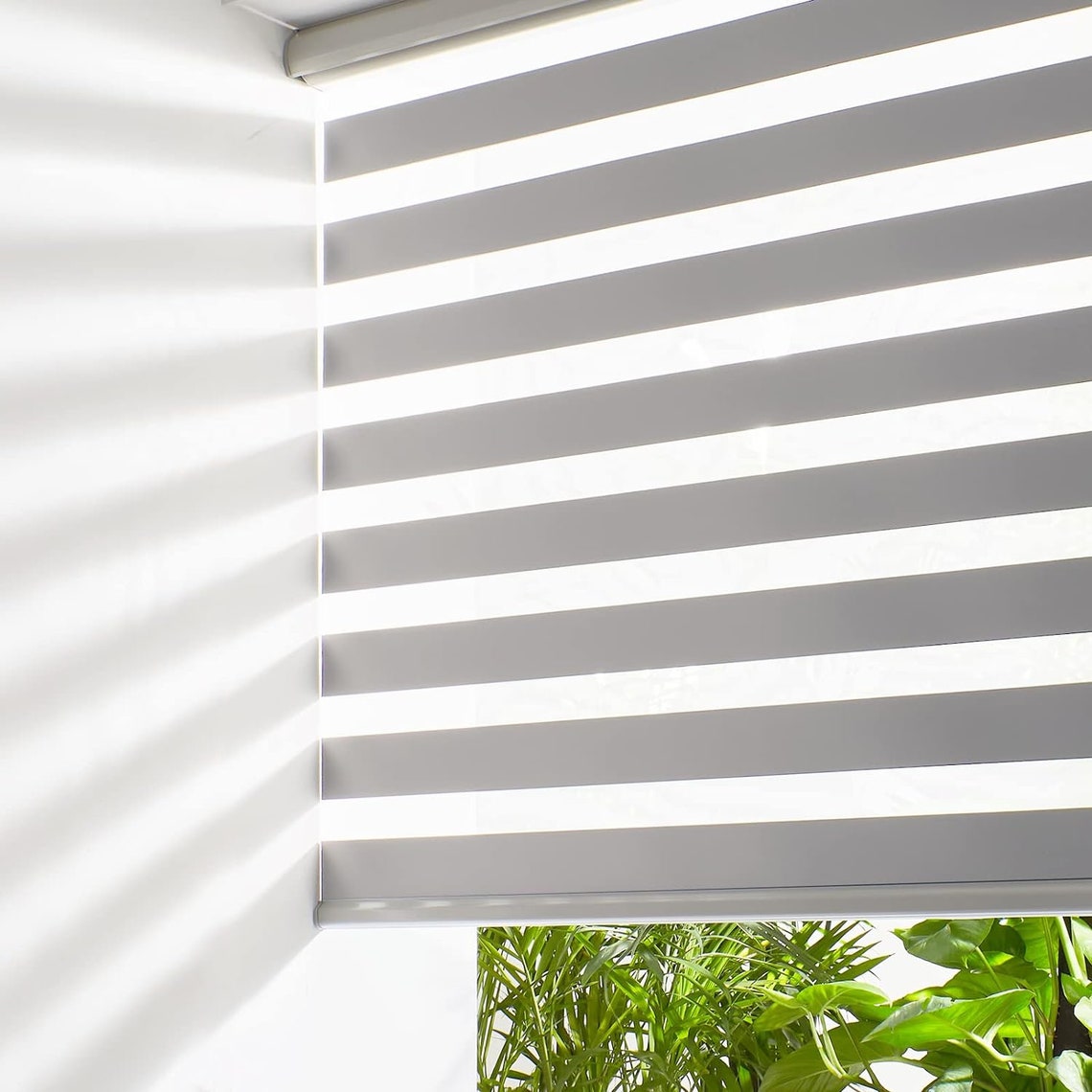 Argimu Zebra Window Blinds With Modern Design Roller Shades W/dual ...