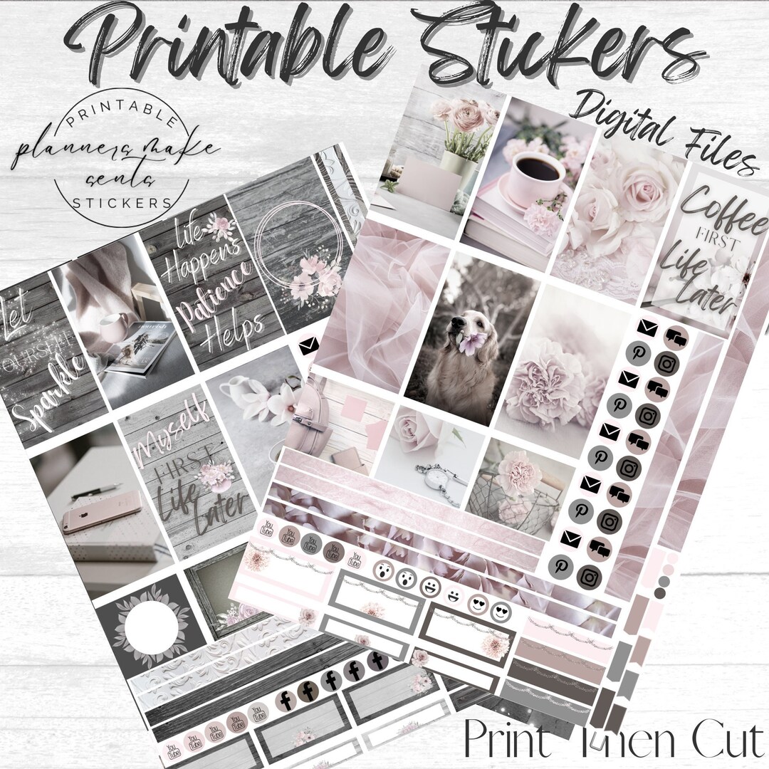 FLORAL PLANNER GIRL Stickers/printable Stickers/happy Planner/pink ...