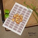 Desi Illustration Pakistani & Indian Snacks Posters Set of 4 | Digital ...
