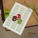Desi Illustration Pakistani & Indian Snacks Posters Set of 4 | Digital ...